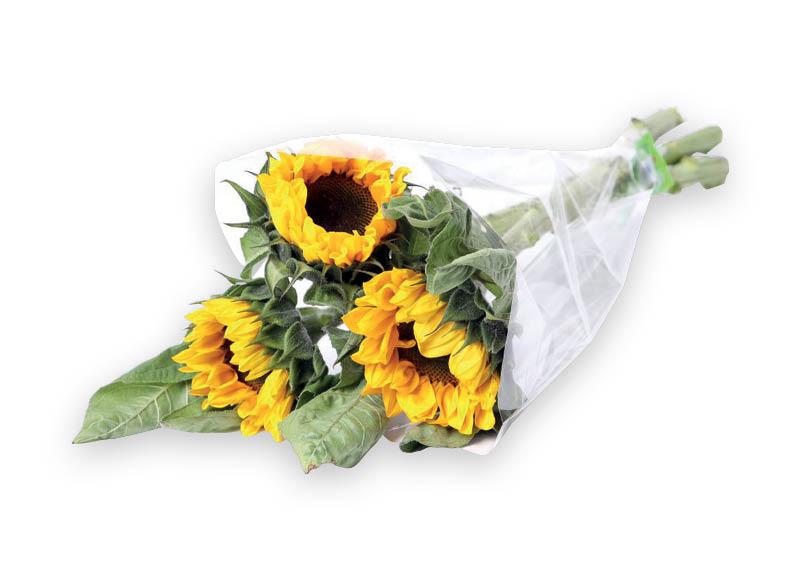 „Saulėgrąžos YES, 4 rūšių, 150 g“ parduotuvėje „Maxima“ | Mazuma.lt