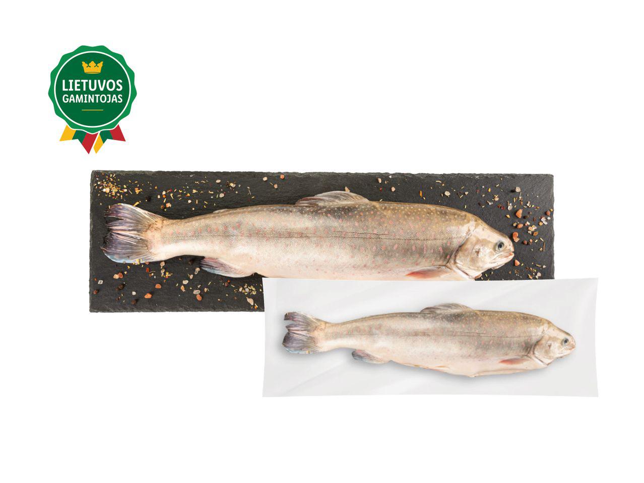 „Šviežias alpinis šalvis“ parduotuvėje „Lidl“ | Mazuma.lt