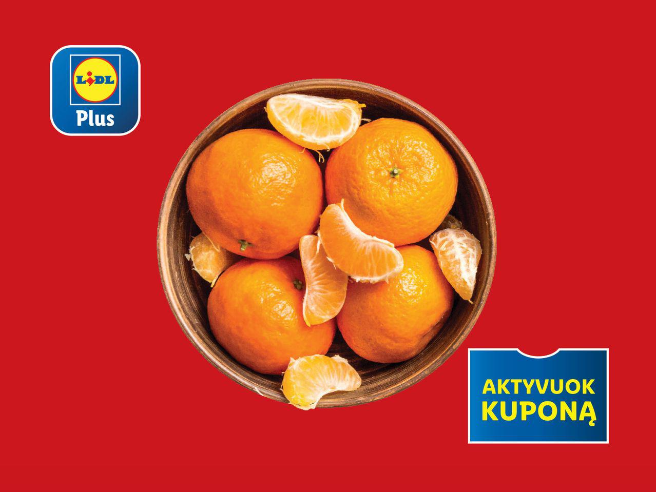 „Mandarinai“ parduotuvėje „Lidl“ | Mazuma.lt