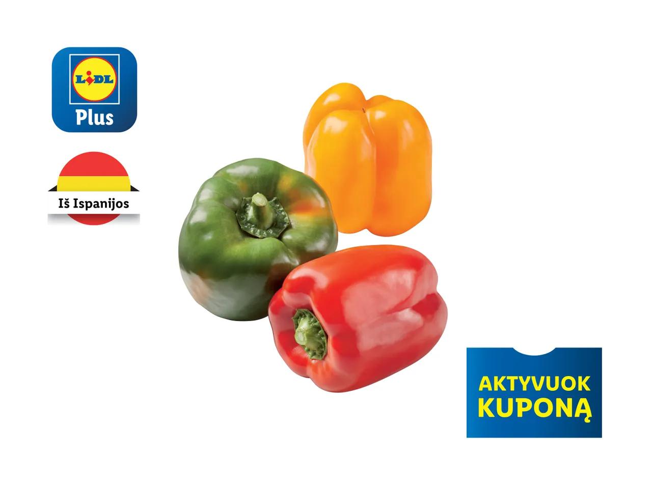 „Saldžiųjų paprikų rinkinys“ akcija parduotuvėje „Lidl“ | Mazuma.lt