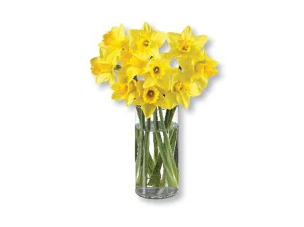 „Narcizų puokštė“ akcija parduotuvėje „Lidl“ | Mazuma.lt