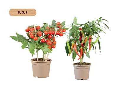 „Daržovių sodinukai „BBQ-Snack““ akcija parduotuvėje „Lidl“ | Mazuma.lt