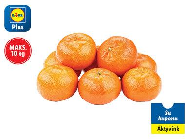 „Mandarinai“ parduotuvėje „Lidl“ | Mazuma.lt
