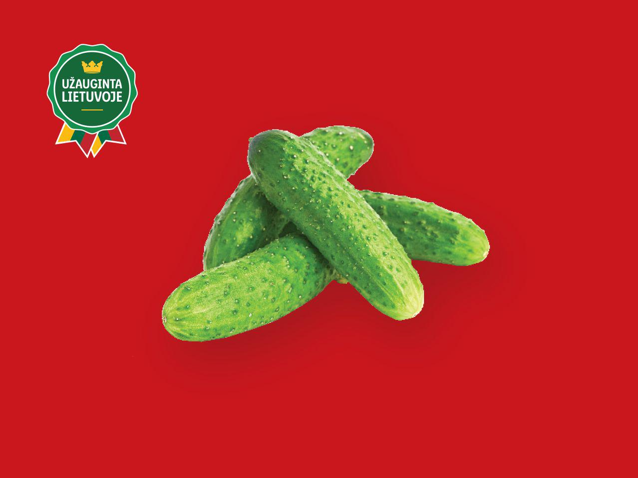 „Lietuviški trumpavaisiai agurkai“ parduotuvėje „Lidl“ | Mazuma.lt