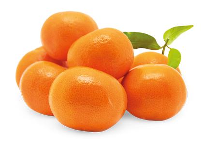 „Mandarinai, 1 kg“ parduotuvėje „Maxima“ | Mazuma.lt