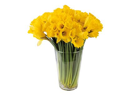 „Narcizų puokštė, 1 puokštė – 10 vnt.“ parduotuvėje „Maxima“ | Mazuma.lt
