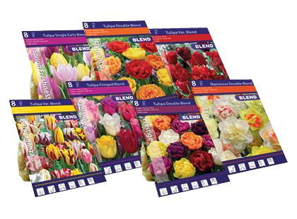 „BLEND gėlių svogūnėliai, 7 rūšių, 1 maiš. (8 vnt.)“ parduotuvėje ...