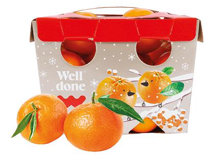 „Mandarinai dėžutėje WELL DONE, fasuoti, 1 kg“ parduotuvėje „Maxima ...