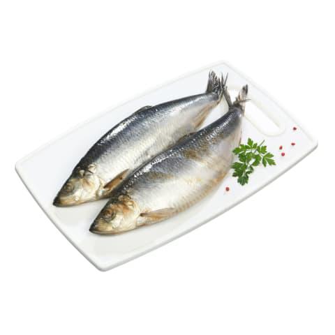 „Sūdyta Atlantinė Silkė Su Galva, 1 Kg“ parduotuvėje „Rimi“ | Mazuma.lt