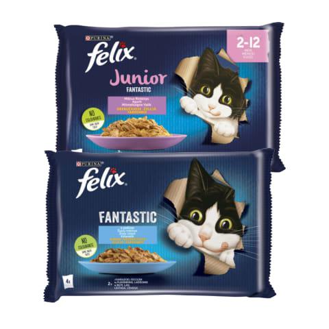 „Kačių Ėdalas Felix, 4X85 G (7 Rūšys)“ parduotuvėje „Rimi“ | Mazuma.lt